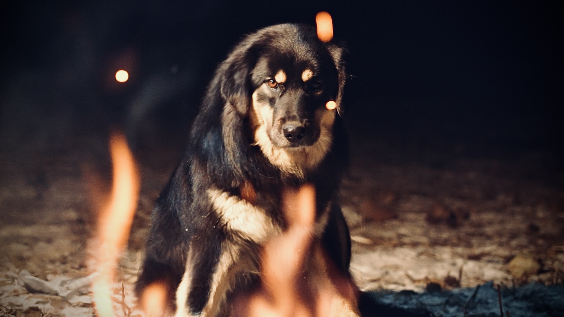 프로그램별 리스트