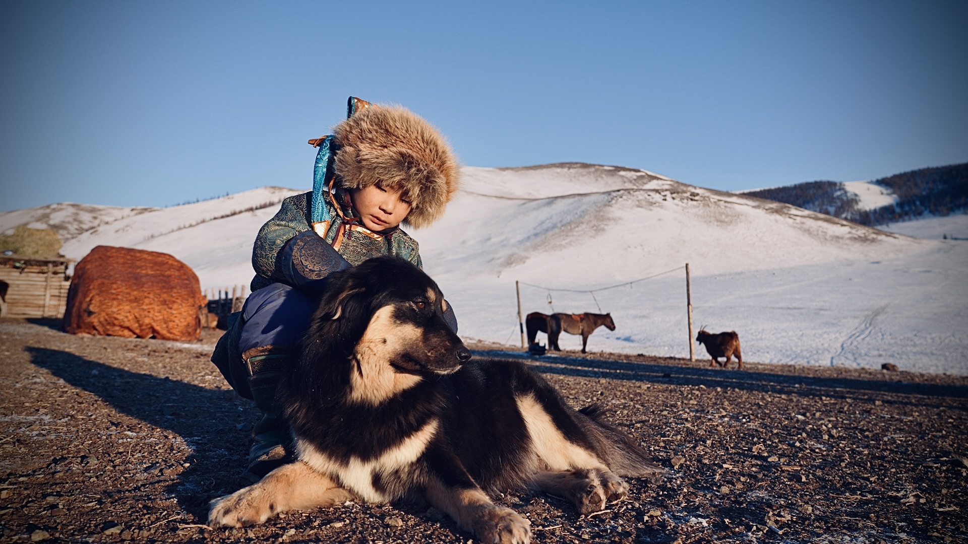프로그램별 리스트