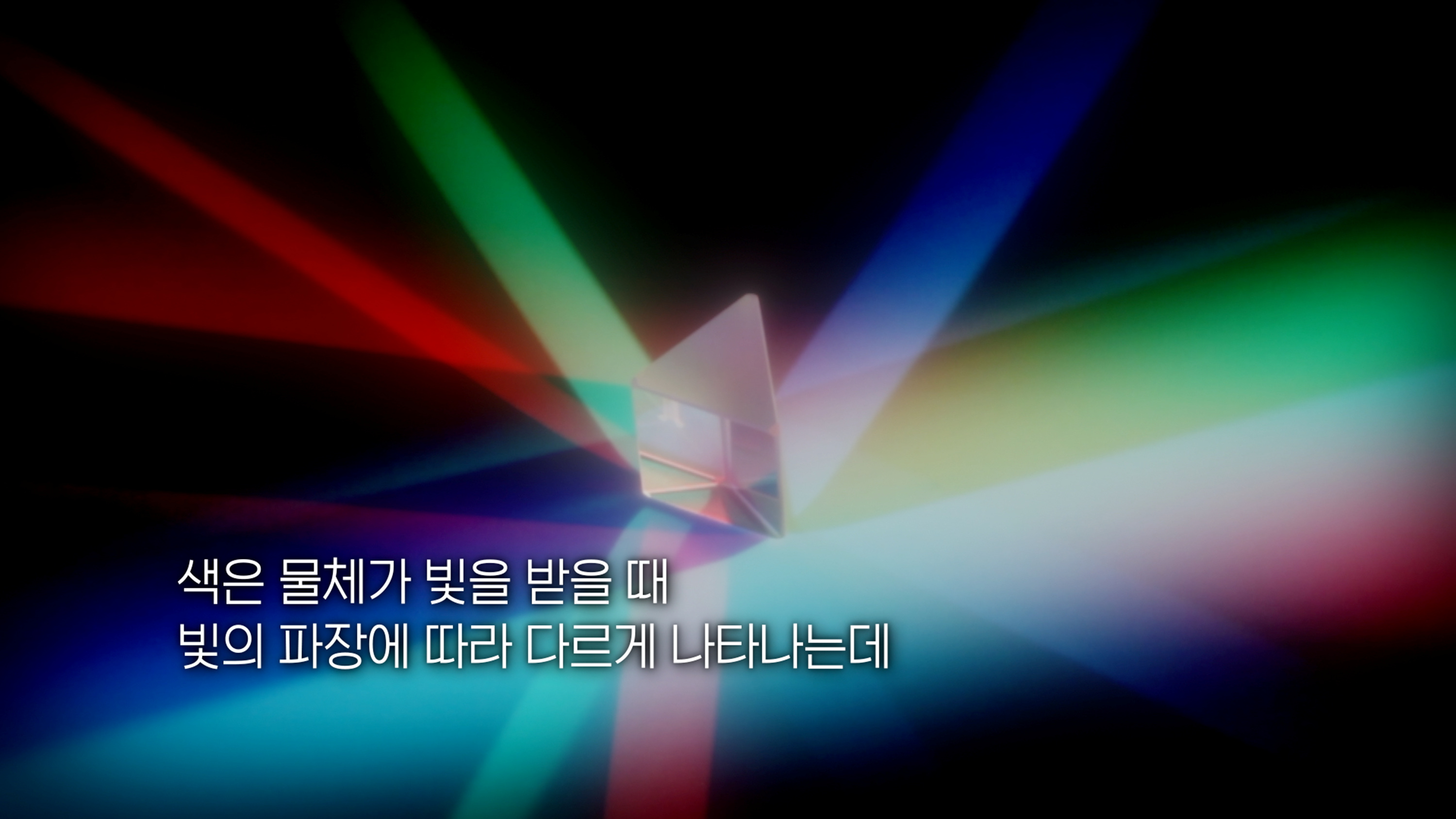 프로그램별 리스트